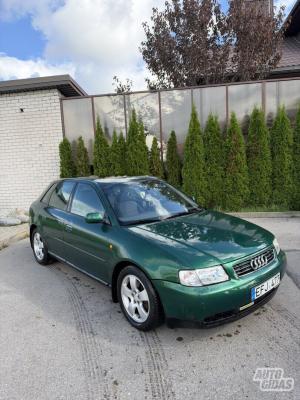 Green Audi A3 1999 in Kaunas, with an engine capacity of 1.80 L and mileage of 288 thousand km for 1400 €, photo  on AUTOMOTO.COM.LV