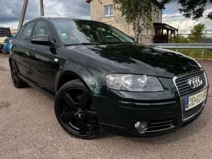 Zaļš Audi A3 2007 Raseiniai, ar dzinēja tilpumu 1.97 L un nobraukumu 300 tūkst. km par 2650 €, foto 3 vietnē AUTOMOTO.COM.LV
