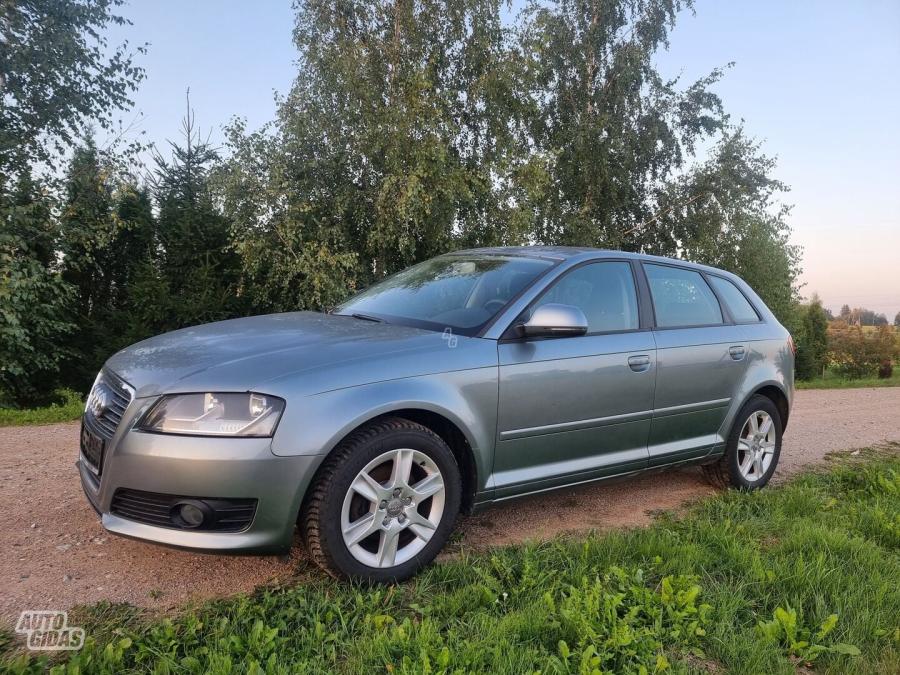 Зеленый Ауди А3 2010 в Алитус, объемом двигателя 1.60 л и пробегом 274 тыс. км за 4199 €, фото 4 на AUTOMOTO.COM.LV