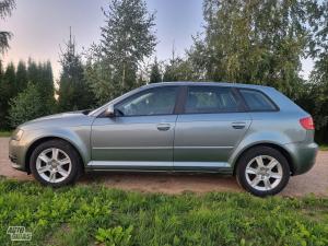 Зеленый Ауди А3 2010 в Алитус, объемом двигателя 1.60 л и пробегом 274 тыс. км за 4199 €, фото 9 на AUTOMOTO.COM.LV