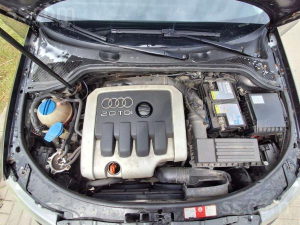 Grey Audi A3 2003 in Rezekne, with an engine capacity of 2.00 L and mileage of 344 thousand km for 1600 €, photo 6 on AUTOMOTO.COM.LV
