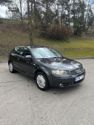 Pelēks Audi A3 2004 Kauņa, ar dzinēja tilpumu 1.60 L un nobraukumu 320 tūkst. km par 700 €, foto 4 vietnē AUTOMOTO.COM.LV
