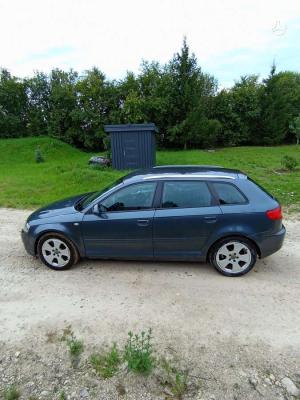 Grey Audi A3 2004 in Klaipeda, with an engine capacity of 1.97 L and mileage of 370 thousand km for 1950 €, photo 5 on AUTOMOTO.COM.LV