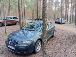 Grey Audi A3 2004 in Polva, with an engine capacity of 1.60 L and mileage of 304 thousand km for 1600 €, photo 7 on AUTOMOTO.COM.LV