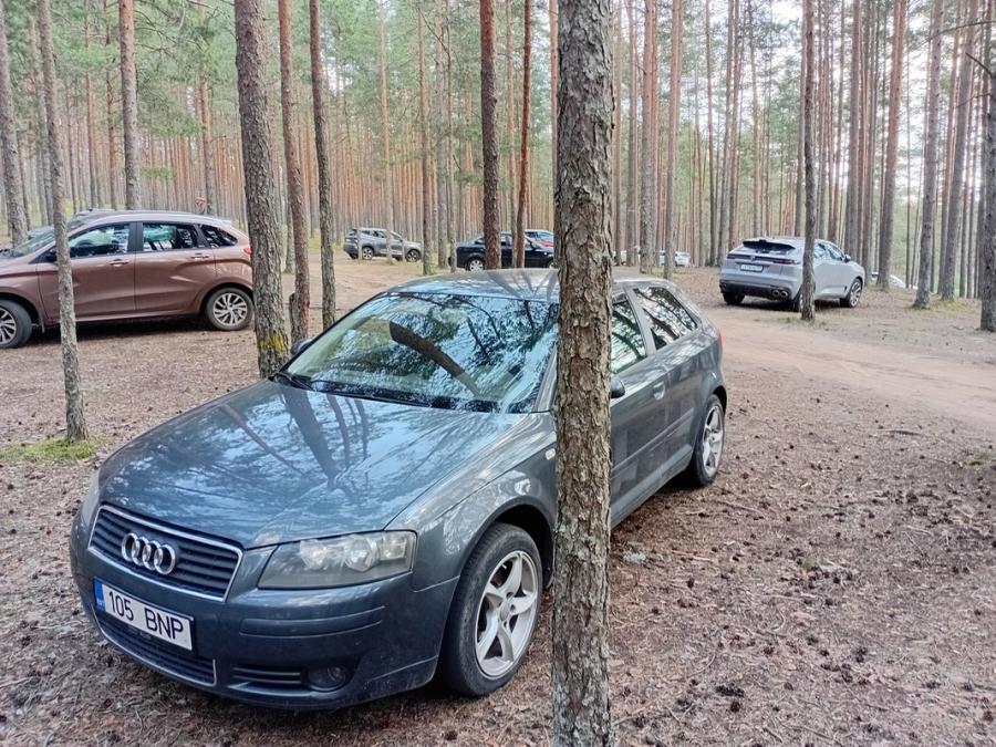 Grey Audi A3 2004 in Polva, with an engine capacity of 1.60 L and mileage of 304 thousand km for 1600 €, photo 7 on AUTOMOTO.COM.LV