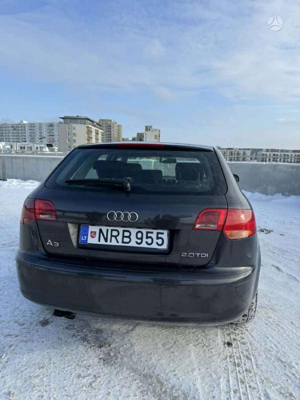 Pelēks Audi A3 2005 Viļņa, ar dzinēja tilpumu 1.97 L un nobraukumu 302 tūkst. km par 2950 €, foto 7 vietnē AUTOMOTO.COM.LV