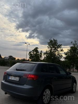 Pelēks Audi A3 2005 Cēsis, ar dzinēja tilpumu 1.60 L un nobraukumu 274 tūkst. km par 2300 €, foto 6 vietnē AUTOMOTO.COM.LV