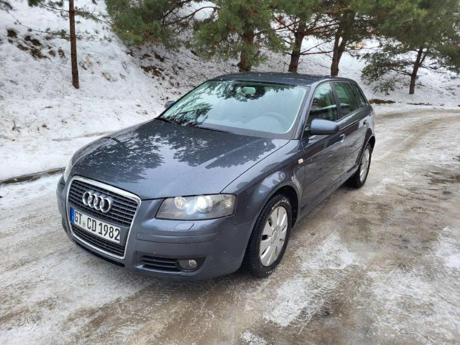 Grey Audi A3 2006 in Alytus, with an engine capacity of 1.97 L and mileage of 340 thousand km for 2950 €, photo 1 on AUTOMOTO.COM.LV