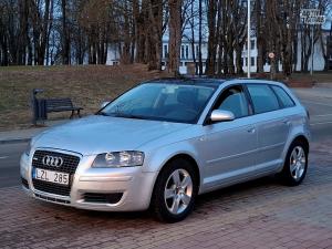 Grey Audi A3 2006 in Telschi, with an engine capacity of 2.00 L and mileage of 336 thousand km for 2650 €, photo 13 on AUTOMOTO.COM.LV