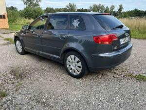Grey Audi A3 2007 in Kazlu Ruda, with an engine capacity of 1.90 L and mileage of 357 thousand km for 2500 €, photo 6 on AUTOMOTO.COM.LV