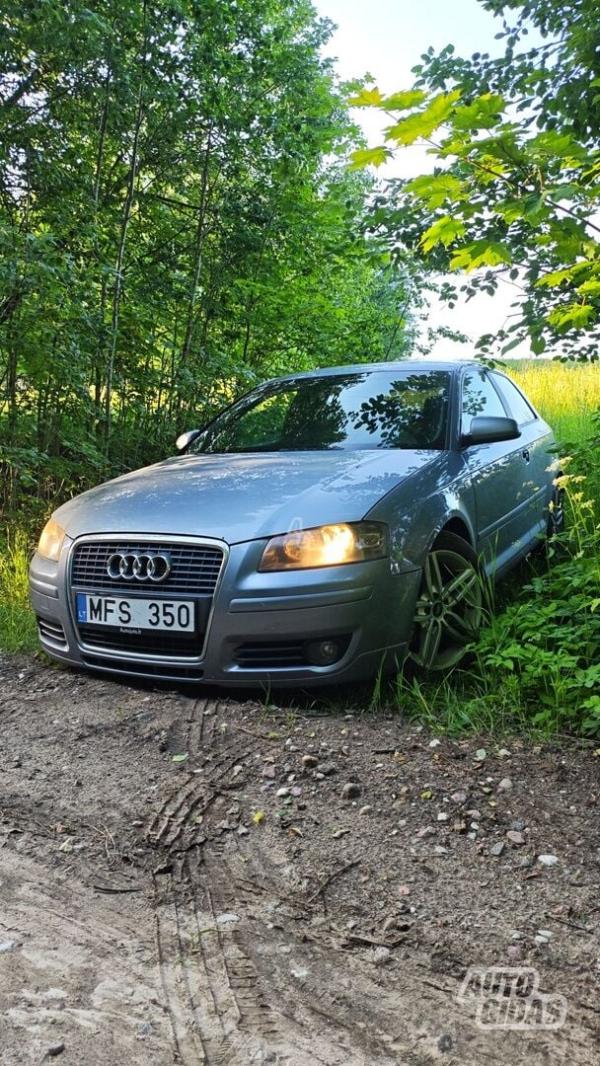 Grey Audi A3 2007 in Trakai, with an engine capacity of 2.00 L and mileage of 305 thousand km for 3500 €, photo 1 on AUTOMOTO.COM.LV