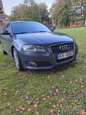 Grey Audi A3 2008 in Kuldiga, with an engine capacity of 1.90 L and mileage of 0 thousand km for 3500 €, photo  on AUTOMOTO.COM.LV