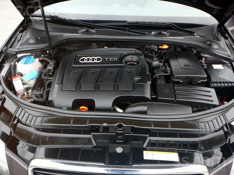 Grey Audi A3 2010 in Cesis, with an engine capacity of 1.60 L and mileage of 0 thousand km for 5990 €, photo 21 on AUTOMOTO.COM.LV