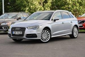 Grey Audi A3 2014 in Jelgava, with an engine capacity of 1.40 L and mileage of 263 thousand km for 9990 €, photo  on AUTOMOTO.COM.LV