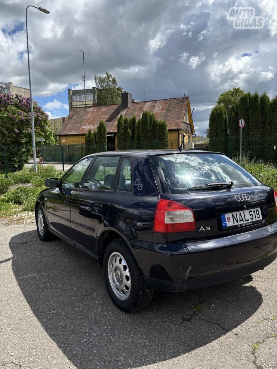Audi A3 2002 in Joniskis, with an engine capacity of 1.60 L and mileage of 240 thousand km for 650 €, photo 5 on AUTOMOTO.COM.LV
