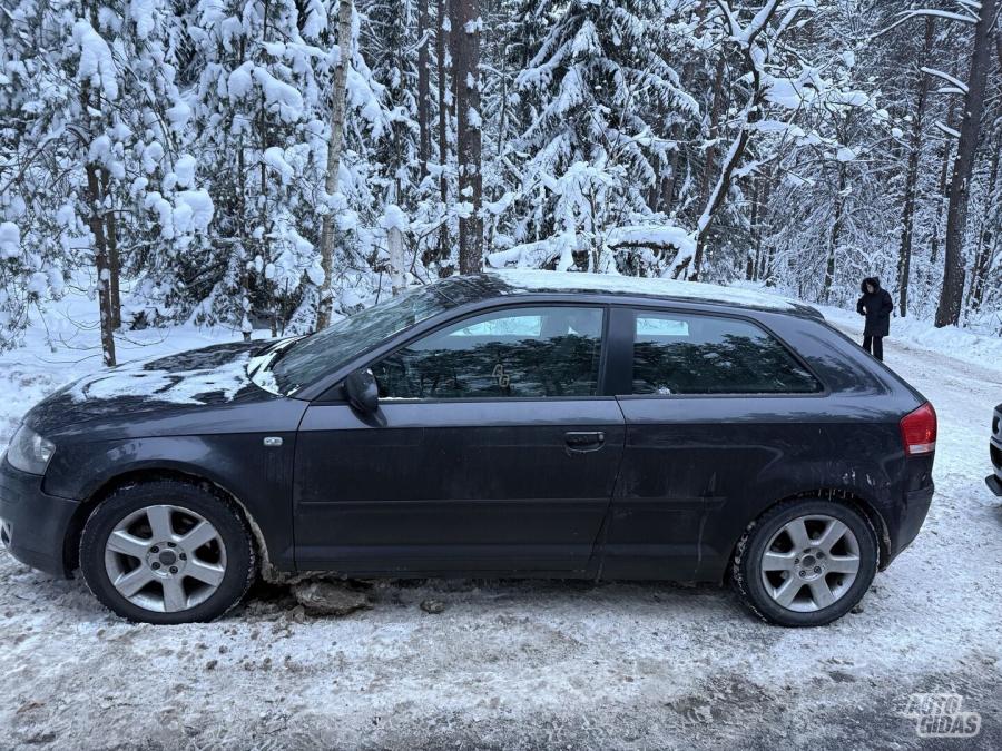 Audi A3 2003 Viļņa, ar dzinēja tilpumu 1.60 L un nobraukumu 280 tūkst. km par 550 €, foto 3 vietnē AUTOMOTO.COM.LV