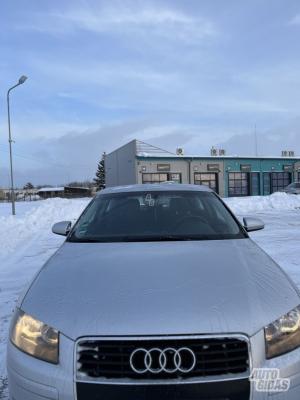 Audi A3 2003 in Panevezys, with an engine capacity of 1.60 L and mileage of 257 thousand km for 1350 €, photo 2 on AUTOMOTO.COM.LV