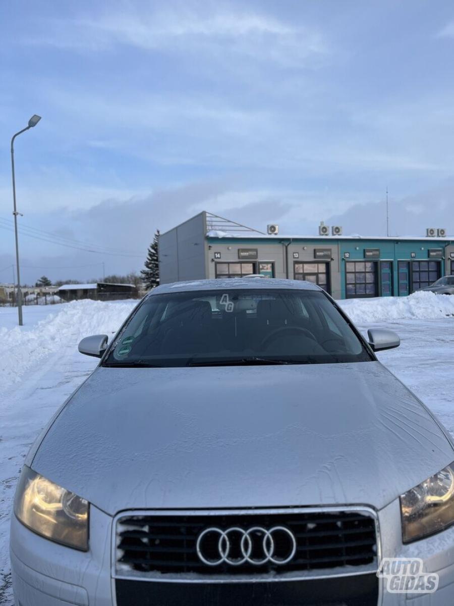 Audi A3 2003 in Panevezys, with an engine capacity of 1.60 L and mileage of 257 thousand km for 1350 €, photo 2 on AUTOMOTO.COM.LV