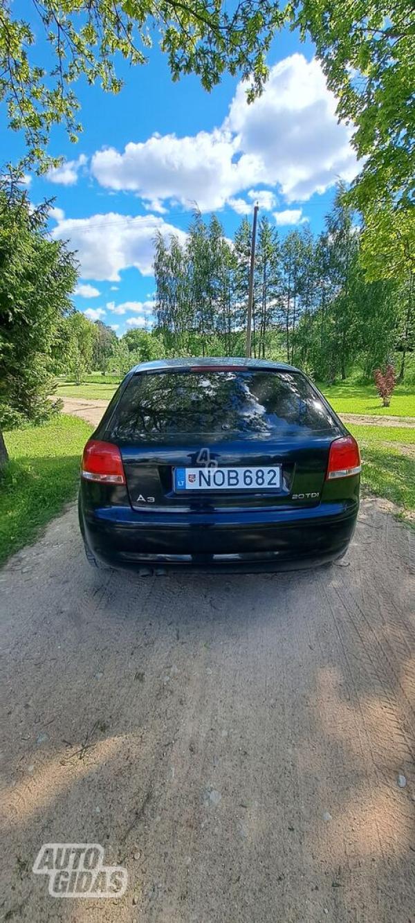 Audi A3 2003 in Lazdijai, with an engine capacity of 2.00 L and mileage of 379 thousand km for 1200 €, photo 5 on AUTOMOTO.COM.LV