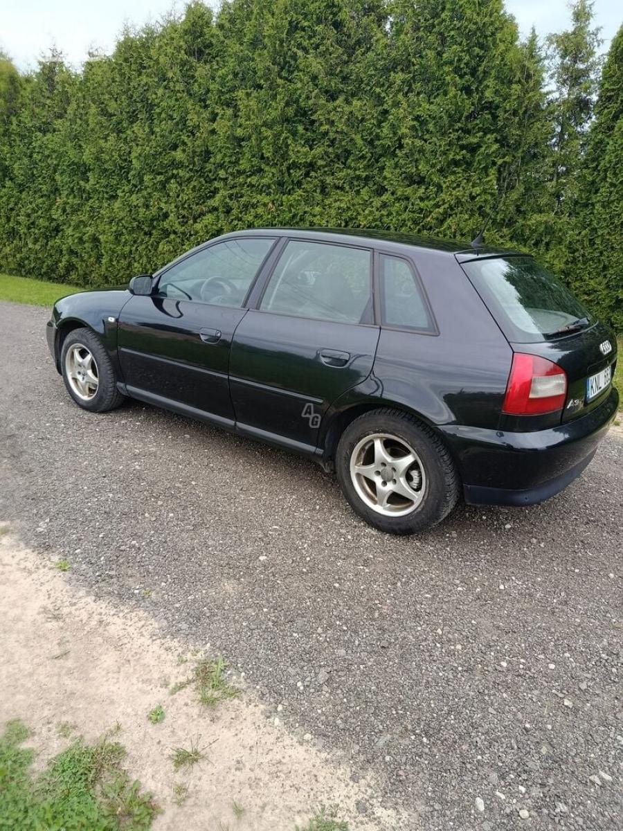 Ауди А3 2003 в Алитус, объемом двигателя 1.90 л и пробегом 314 тыс. км за 1350 €, фото 3 на AUTOMOTO.COM.LV