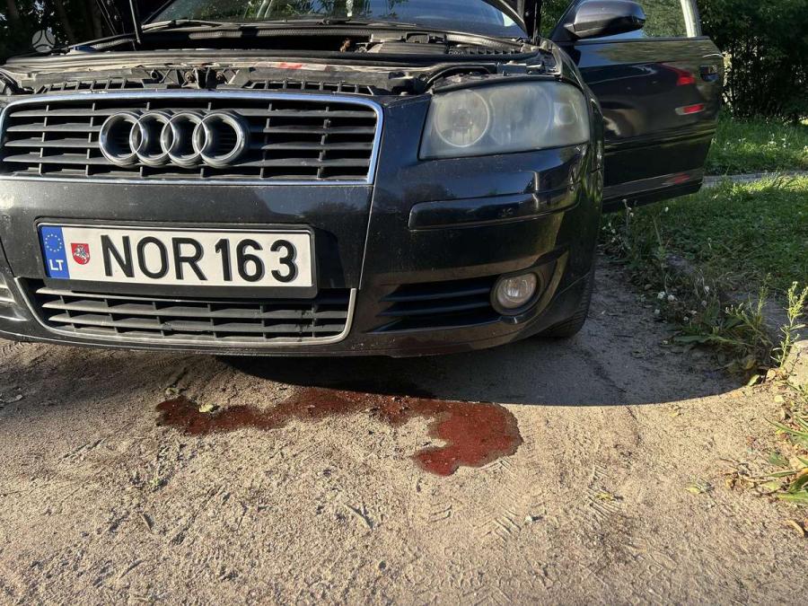 Ауди А3 2003 в Вильнюс, объемом двигателя 1.98 л и пробегом 325 тыс. км за 750 €, фото 9 на AUTOMOTO.COM.LV