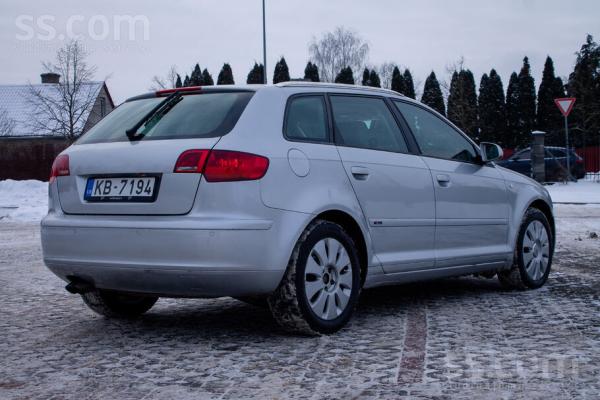 Audi A3 2004 Jelgava, ar dzinēja tilpumu 2.00 L un nobraukumu 360 tūkst. km par 2750 €, foto 6 vietnē AUTOMOTO.COM.LV
