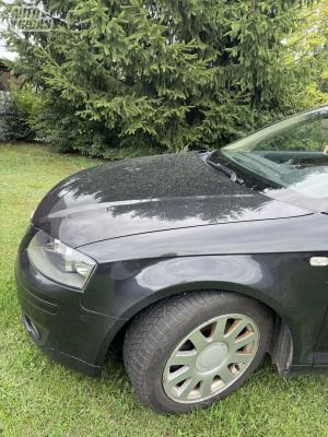 Audi A3 2004 Viļņa, ar dzinēja tilpumu 2.00 L un nobraukumu 386 tūkst. km par 1700 €, foto 7 vietnē AUTOMOTO.COM.LV