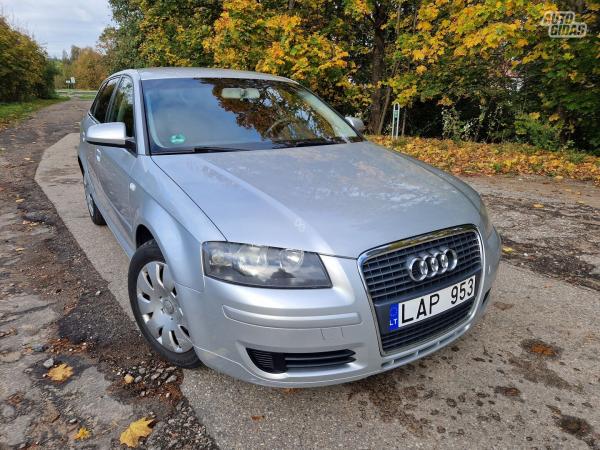 Audi A3 2004 in Vilnius, with an engine capacity of 2.00 L and mileage of 264 thousand km for 2850 €, photo 3 on AUTOMOTO.COM.LV