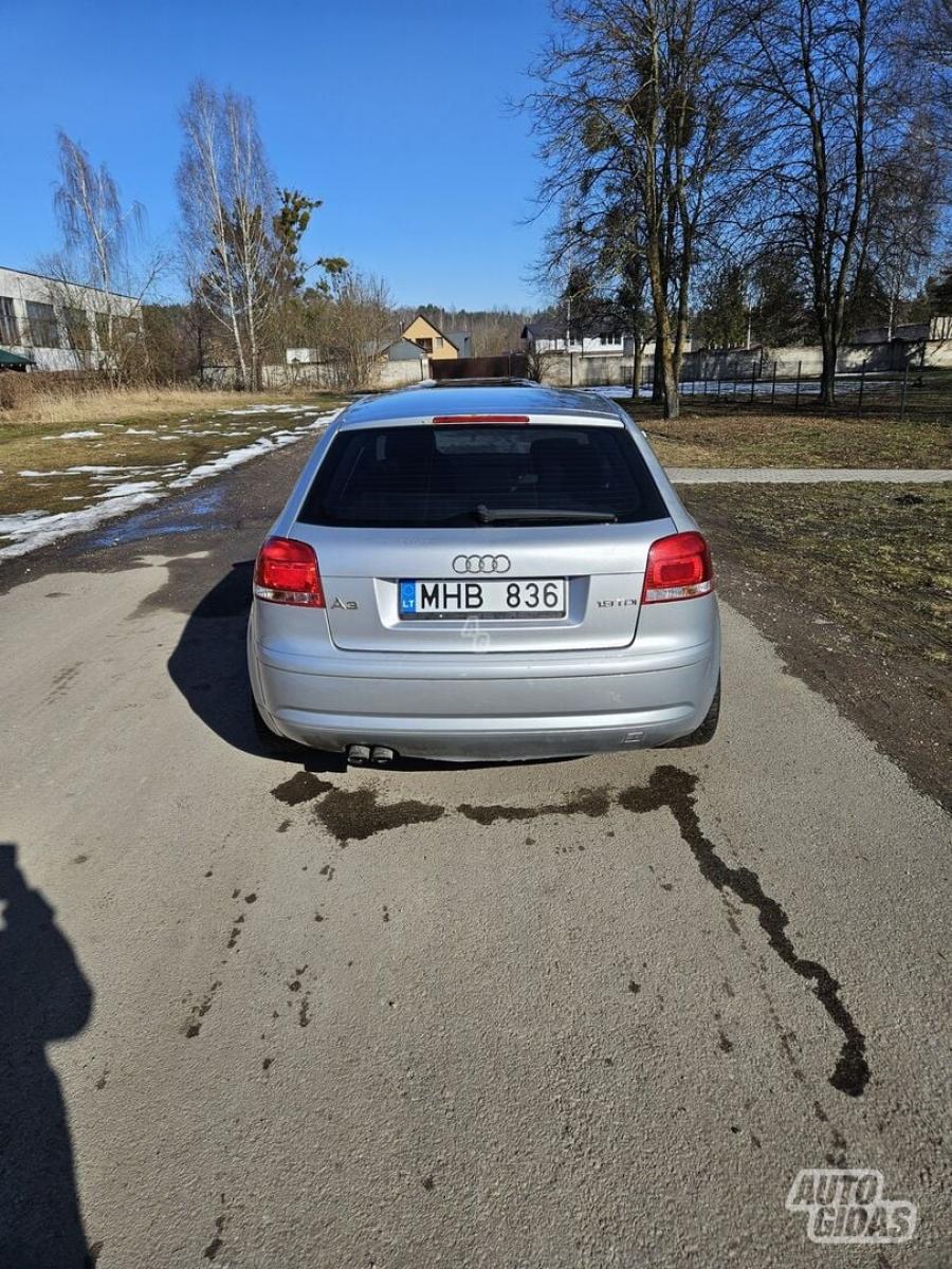 Audi A3 2005 Prienai, ar dzinēja tilpumu 1.90 L un nobraukumu 285 tūkst. km par 1200 €, foto 8 vietnē AUTOMOTO.COM.LV