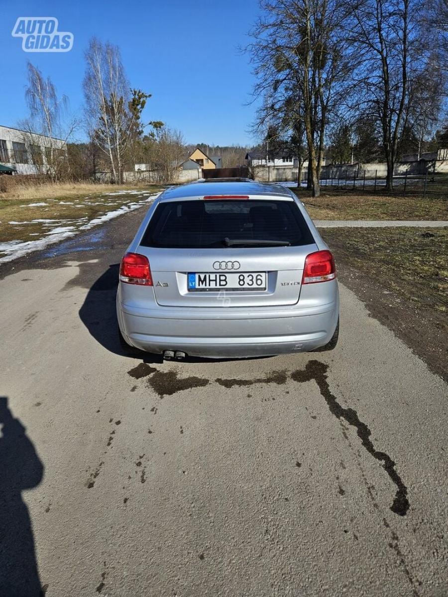 Audi A3 2005 Prienai, ar dzinēja tilpumu 1.90 L un nobraukumu 290 tūkst. km par 1000 €, foto 11 vietnē AUTOMOTO.COM.LV