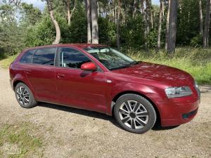 Audi A3 2005 in Kaunas, with an engine capacity of 2.00 L and mileage of 234 thousand km for 2200 €, photo  on AUTOMOTO.COM.LV