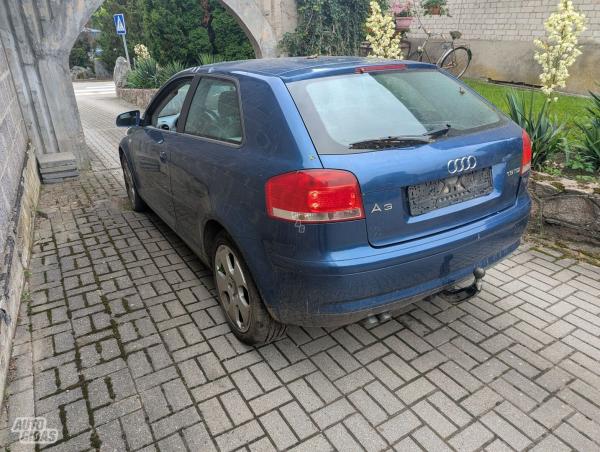 Audi A3 2005 Skuodas, ar dzinēja tilpumu 1.90 L un nobraukumu 250 tūkst. km par 500 €, foto 3 vietnē AUTOMOTO.COM.LV