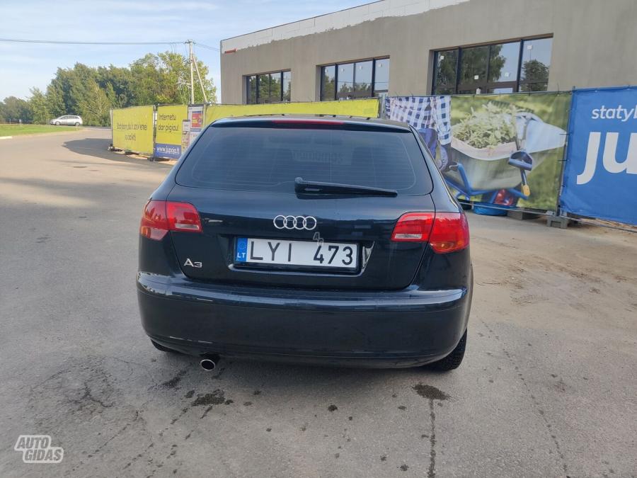 Audi A3 2005 Šauļi, ar dzinēja tilpumu 1.60 L un nobraukumu 300 tūkst. km par 1450 €, foto 6 vietnē AUTOMOTO.COM.LV