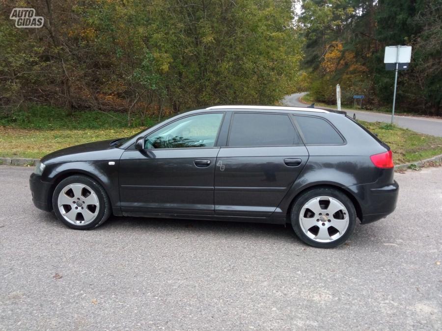 Audi A3 2005 in Vilnius, with an engine capacity of 2.00 L and mileage of 315 thousand km for 2690 €, photo 3 on AUTOMOTO.COM.LV