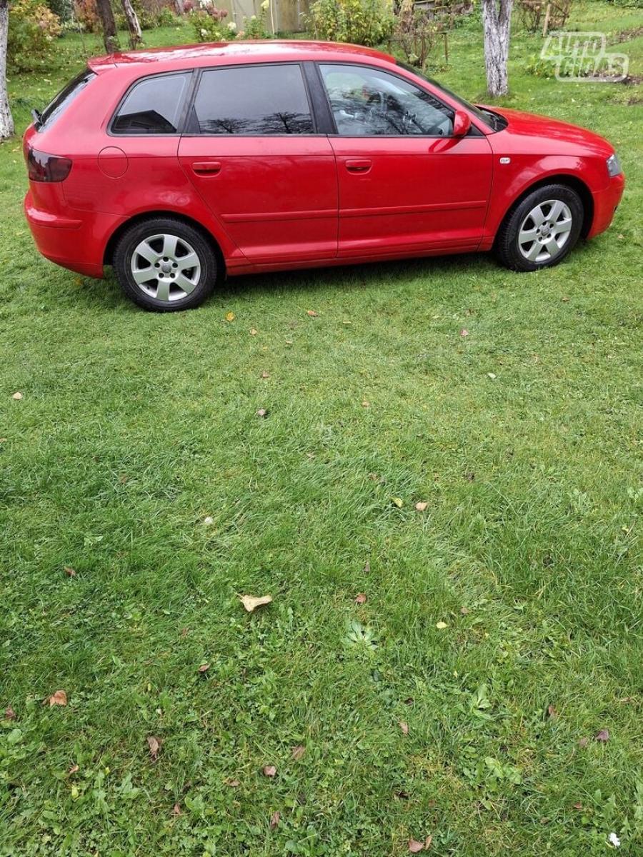 Audi A3 2005 in Utena, with an engine capacity of 1.90 L and mileage of 360 thousand km for 1500 €, photo 7 on AUTOMOTO.COM.LV