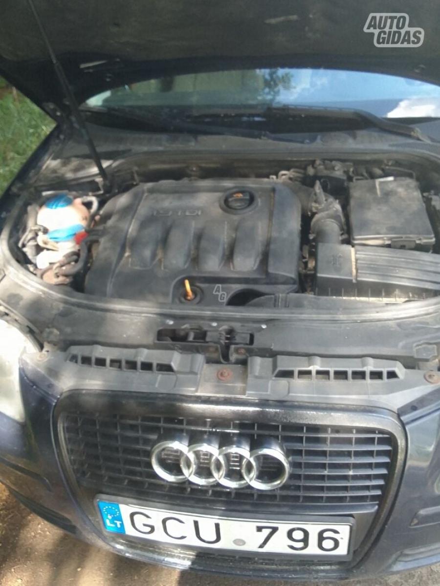 Audi A3 2006 in Siauliai, with an engine capacity of 1.90 L and mileage of 351 thousand km for 2550 €, photo 1 on AUTOMOTO.COM.LV