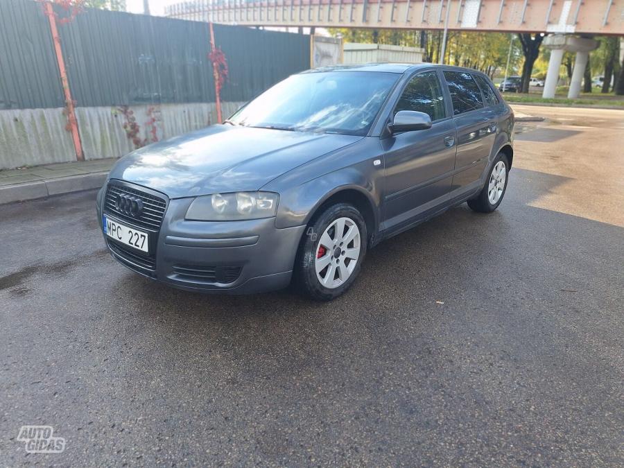 Audi A3 2007 in Klaipeda, with an engine capacity of 2.00 L and mileage of 0 thousand km for 1999 €, photo 1 on AUTOMOTO.COM.LV