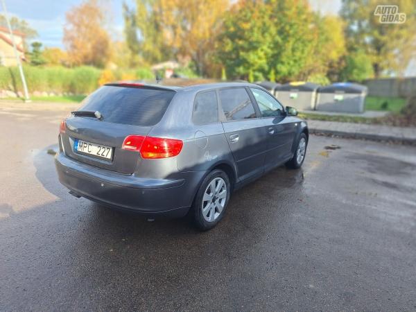 Ауди А3 2007 в Клайпеда на AUTOMOTO.COM.LV Ауди А3 2007 в Клайпеда, объемом двигателя 2.00 л и пробегом 0 тыс. км за 1999 €, фото 6 на AUTOMOTO.COM.LV