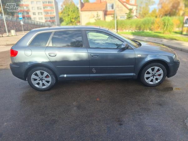 Ауди А3 2007 в Клайпеда на AUTOMOTO.COM.LV Ауди А3 2007 в Клайпеда, объемом двигателя 2.00 л и пробегом 0 тыс. км за 1999 €, фото 8 на AUTOMOTO.COM.LV