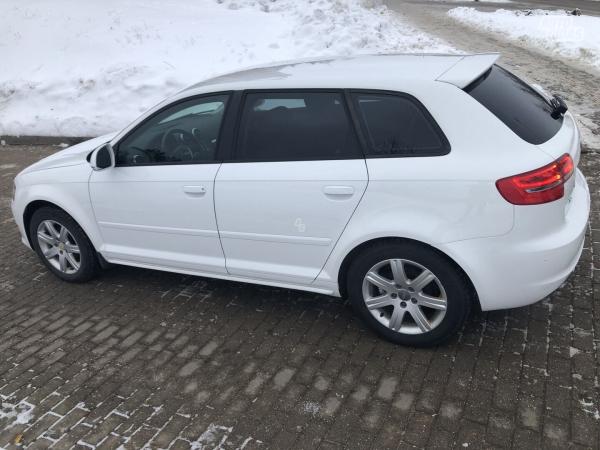 Audi A3 2008 Viļņa, ar dzinēja tilpumu 1.90 L un nobraukumu 242 tūkst. km par 5200 €, foto 8 vietnē AUTOMOTO.COM.LV
