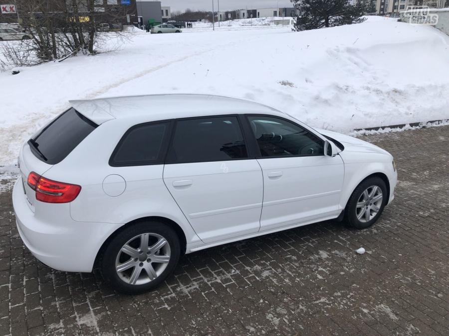 Audi A3 2008 Viļņa, ar dzinēja tilpumu 1.90 L un nobraukumu 242 tūkst. km par 4950 €, foto 11 vietnē AUTOMOTO.COM.LV
