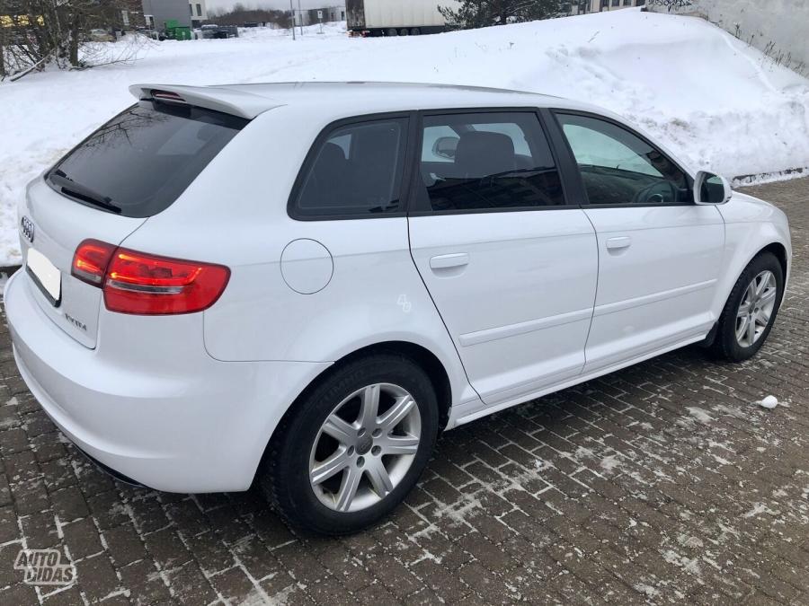Audi A3 2008 Viļņa, ar dzinēja tilpumu 1.90 L un nobraukumu 242 tūkst. km par 4950 €, foto 13 vietnē AUTOMOTO.COM.LV