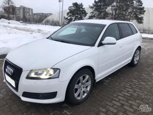 Audi A3 2008 Viļņa, ar dzinēja tilpumu 1.90 L un nobraukumu 242 tūkst. km par 4950 €, foto 14 vietnē AUTOMOTO.COM.LV