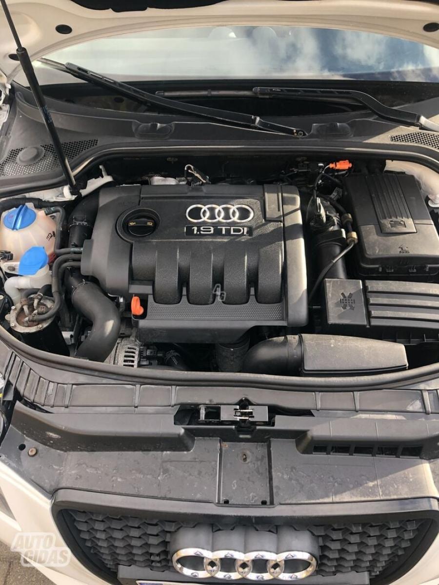 Audi A3 2008 Viļņa, ar dzinēja tilpumu 1.90 L un nobraukumu 242 tūkst. km par 4950 €, foto 33 vietnē AUTOMOTO.COM.LV