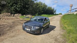 Audi A3 2008 in Kaunas, with an engine capacity of 2.00 L and mileage of 315 thousand km for 2200 €, photo  on AUTOMOTO.COM.LV