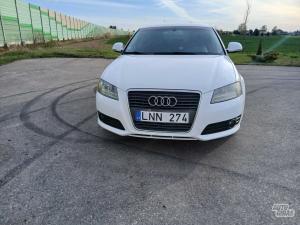 Audi A3 2009 Viļņa, ar dzinēja tilpumu 1.60 L un nobraukumu 270 tūkst. km par 4300 €, foto 3 vietnē AUTOMOTO.COM.LV
