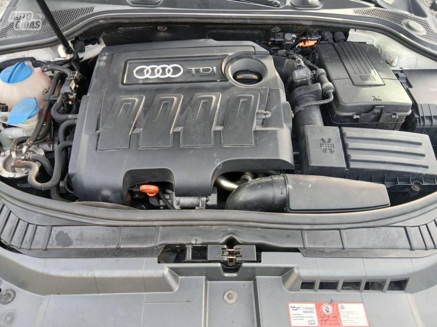 Audi A3 2009 Viļņa, ar dzinēja tilpumu 1.60 L un nobraukumu 270 tūkst. km par 4300 €, foto 13 vietnē AUTOMOTO.COM.LV