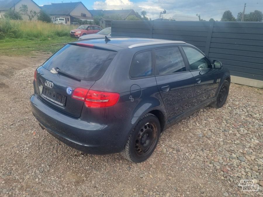 Audi A3 2010 in Marijampole, with an engine capacity of 2.00 L and mileage of 286 thousand km for 3999 €, photo 6 on AUTOMOTO.COM.LV