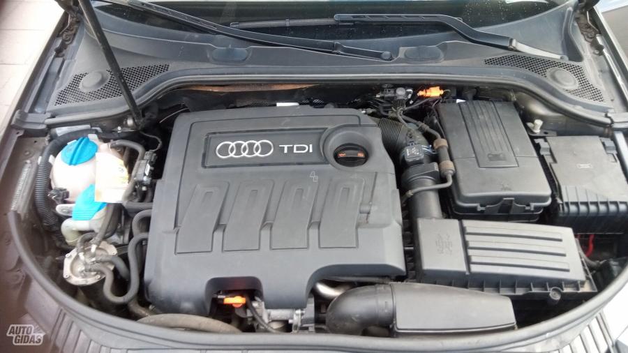 Audi A3 2012 Viļņa, ar dzinēja tilpumu 1.60 L un nobraukumu 251 tūkst. km par 6950 €, foto 13 vietnē AUTOMOTO.COM.LV