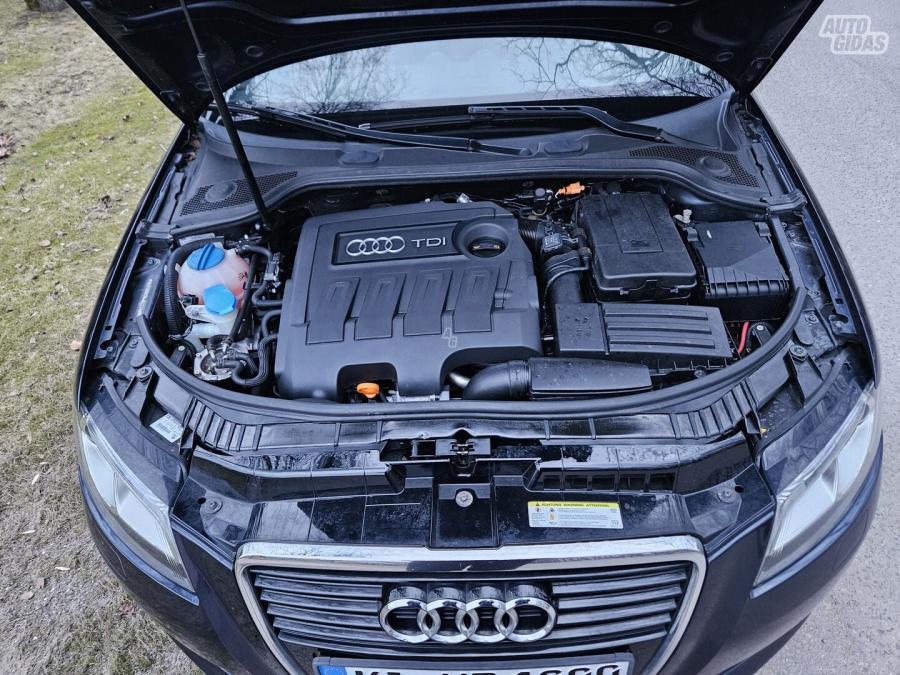 Audi A3 2012 Mažeikiai, ar dzinēja tilpumu 1.60 L un nobraukumu 189 tūkst. km par 4650 €, foto 24 vietnē AUTOMOTO.COM.LV